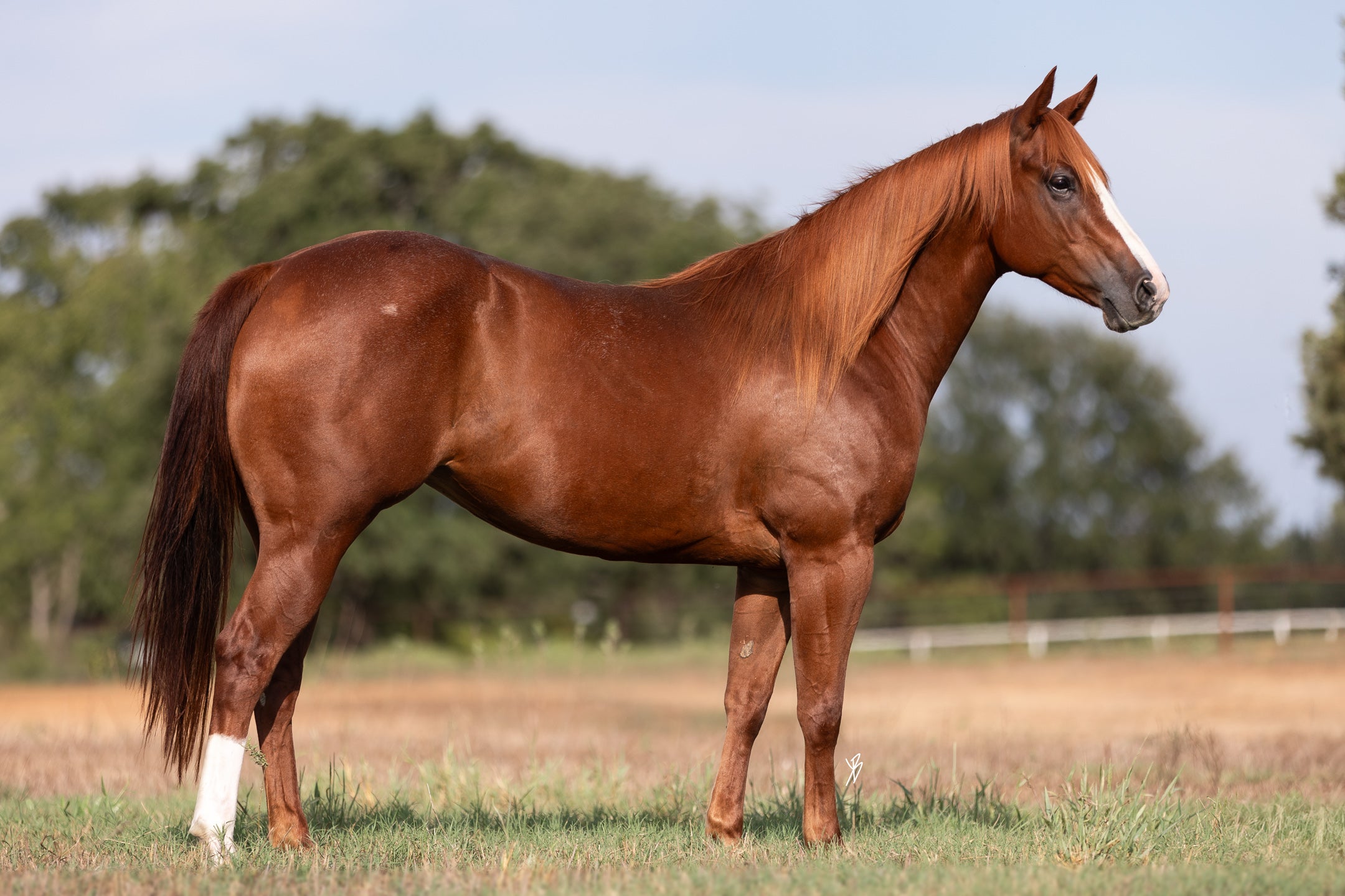 Fallon Taylor And Her Horse Jerry Ann Taylor Award Winners | WPRA's
