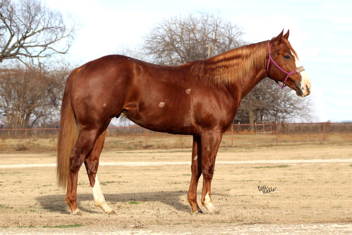 CHUG NO RIS – FALLON TAYLOR