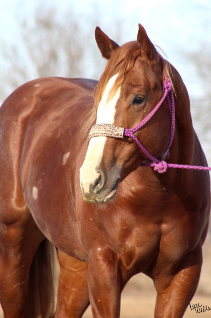 Products – FALLON TAYLOR